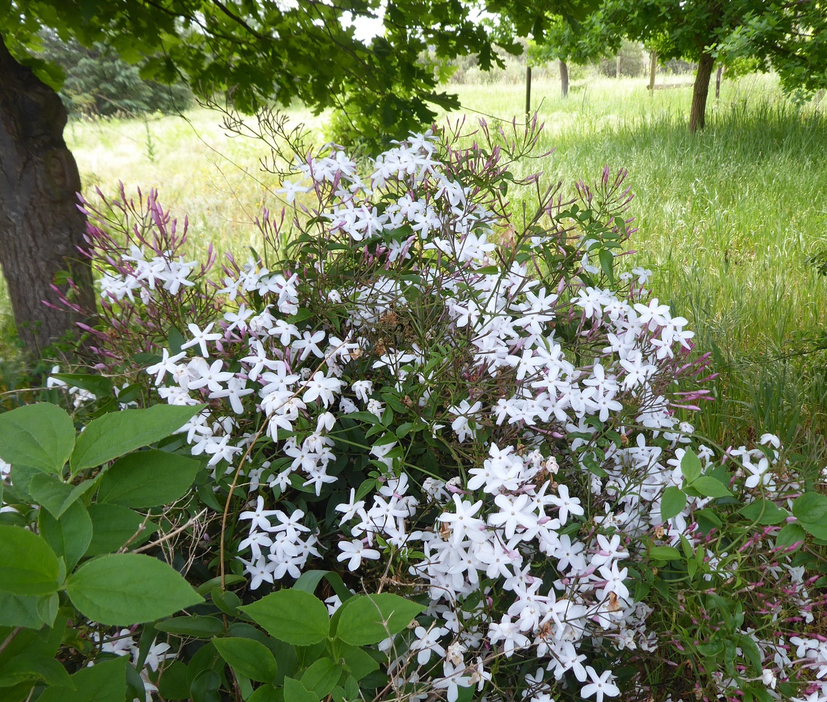 Monthly blog – Kleine Schoone Uitzicht